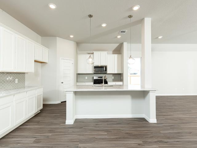 3029 Mistflower Trail