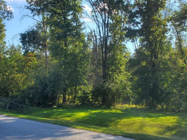 3029 Nelson Lane