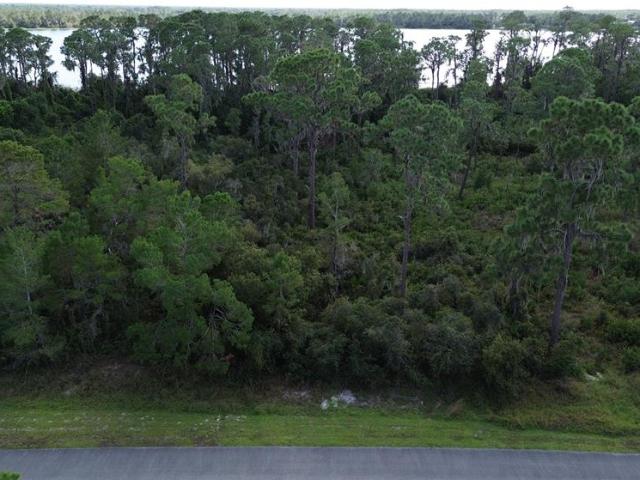 3029 Hawks Lndg Cir, Sebring, FL 33875 | MLS #L4948