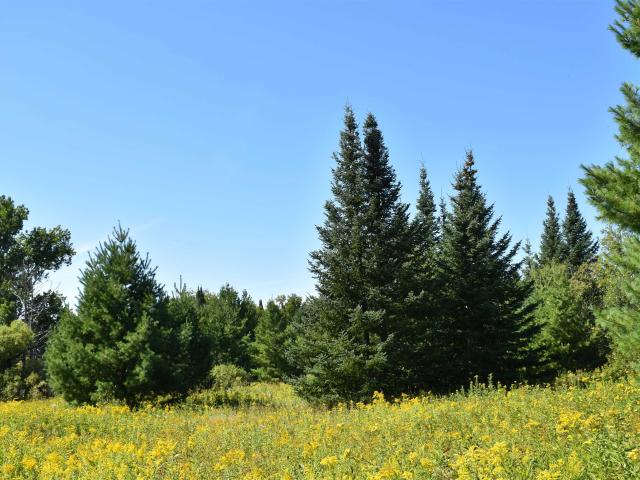 30210 Wannebo Rd, Washburn, WI 54891 | MLS #6121