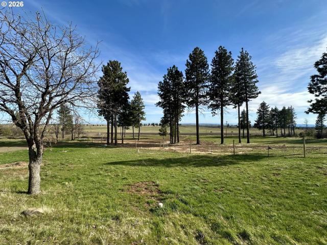 3021 bickleton hwy