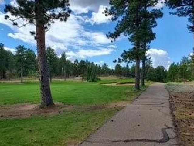 3021 Lake Arapahoe Ct, Red Feather Lakes, CO 80545