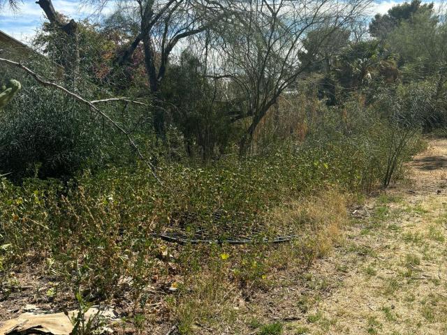 3021 W Orangewood Avenue #