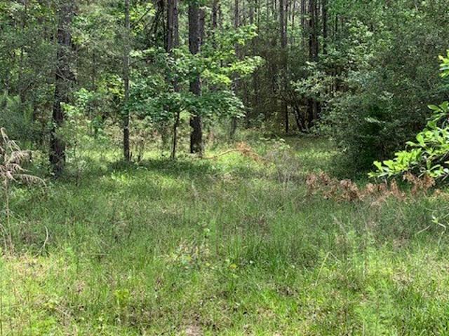 30227 Oak Ln, Magnolia, TX 77354 | MLS #23763
