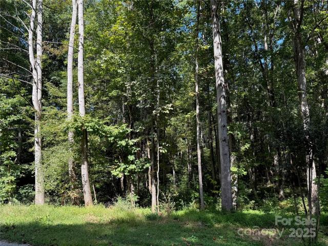 302 Didio Cir, Mooresville, NC 28115 | MLS #4303