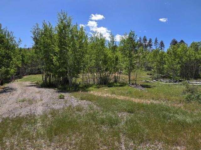 302 Rickel Cir, South Fork, CO 81154