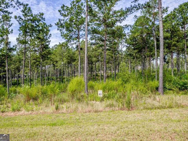 302 Wind Rock Ridge
