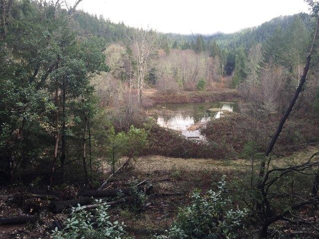 302 Three Mill Rd, Cave Junction, OR 97538