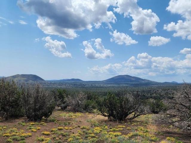 30343 B Alpine Rnch, Flagstaff, AZ 86004