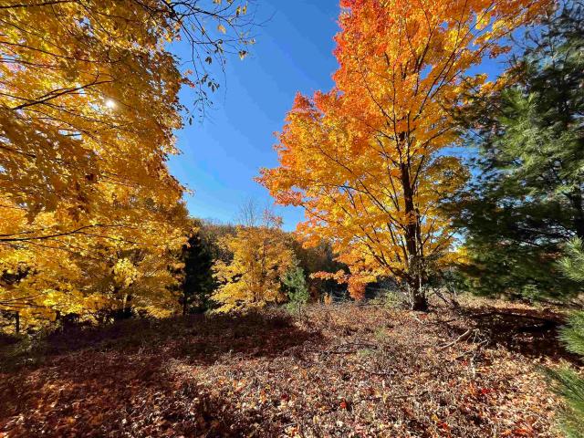 3037 Dockery Road, Nw # Lot 1 West