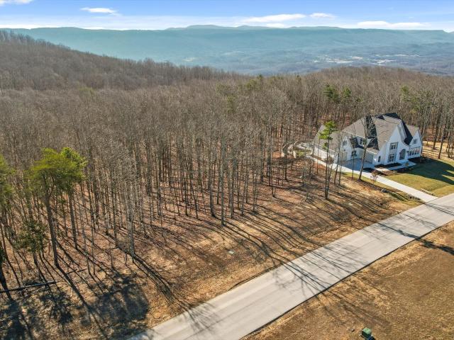 3037 River Gorge Dr, Unit HOMESITE 973, Chattanooga, TN 37419 | MLS #1528 | Compass