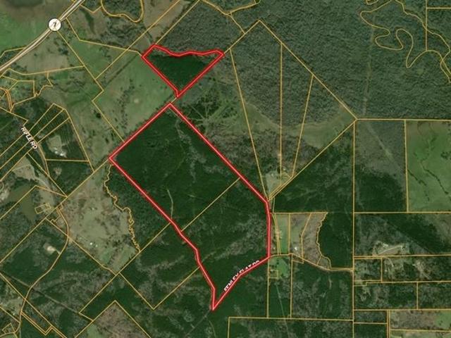30383 Fenley Flt Parcel Id, Pollok, TX 75969