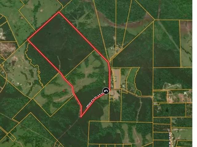 30383 Fenley Flat Rd Parcel Id, Pollok, TX 75969
