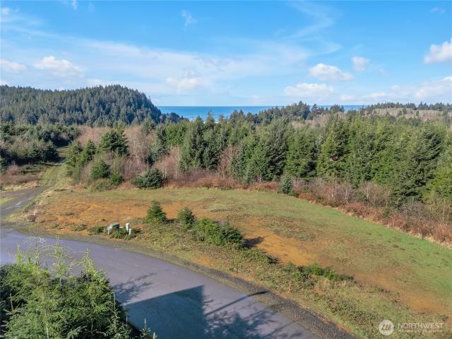 3038 Ocean View Ct, Ilwaco, WA 98624 | MLS #2482 | Compass