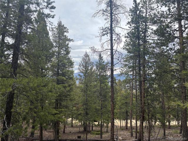 30304 Aspen Turn, Buena Vista, CO 81211 | MLS #3215