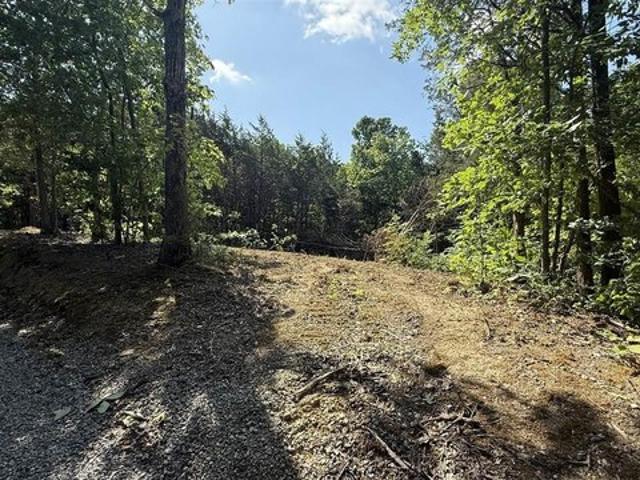 3030 Track 1 Bull Ridge Rd, Burkesville, KY 42717