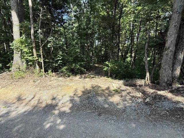 3030 Track 2 Bull Ridge Rd, Burkesville, KY 42717