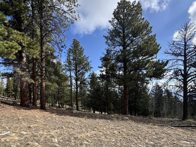 30317 Aspen Turn, Buena Vista, CO 81211 | MLS #2341 | Compass