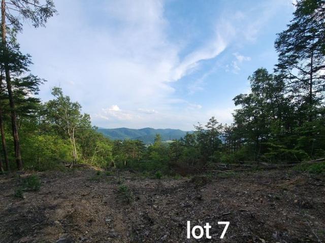3031 Reese Mountain Rd, Elliston, VA 24087