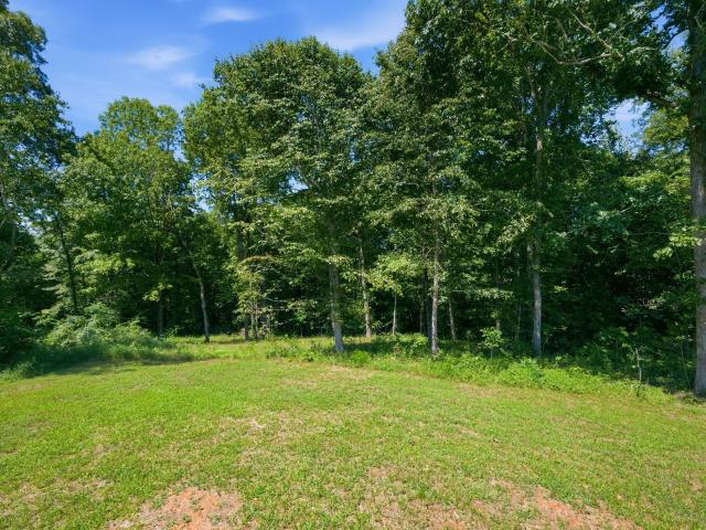 3033 Bowker Road