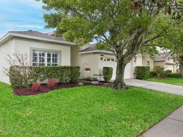 3033 Gem Luster Ct, Valrico, FL 33594 | MLS #TB8495