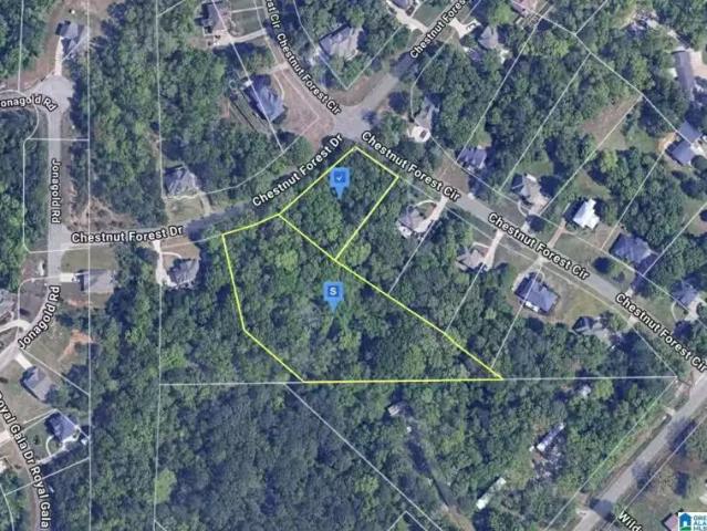 303 CHESTNUT FOREST DR # 0, HELENA, AL 35080 Vacant Land For S.