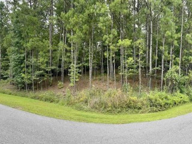 303 Baron Cir Lot 14, Chelsea, AL 35043