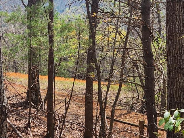 303 Harrison Creek Rd, Amherst, VA 24521 | MLS #358562 | Compass
