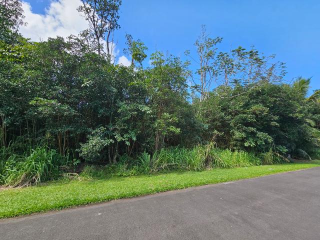 303 Hinalea St, Pahoa, HI 96778 | MLS #728226 | Compass