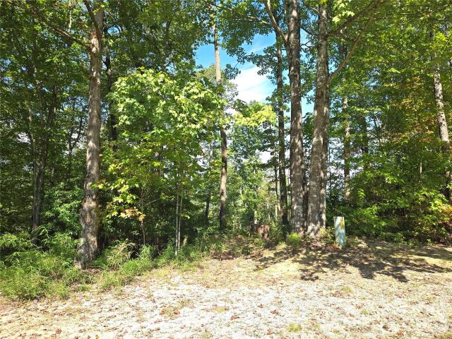 303 Ladd Ridge