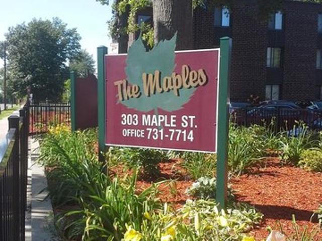 303 Maple St, Springfield, MA 01105