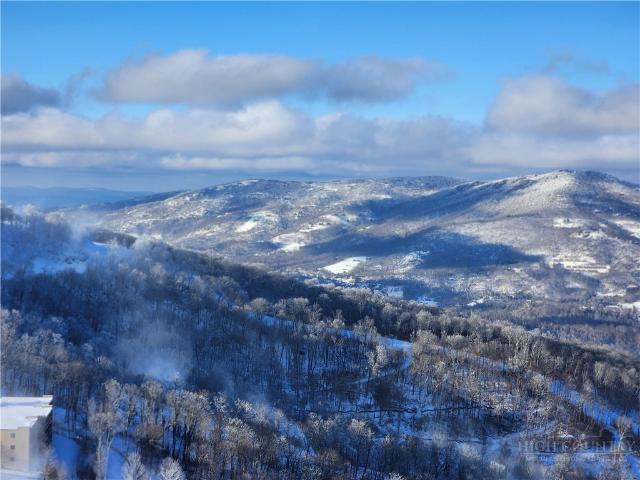 303 Sugar Top Drive 2011
