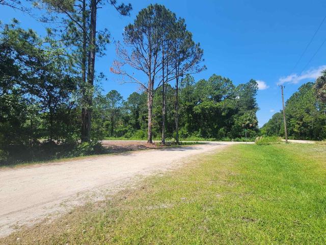 303 Palm Way, Georgetown, FL 32139 | MLS #241750