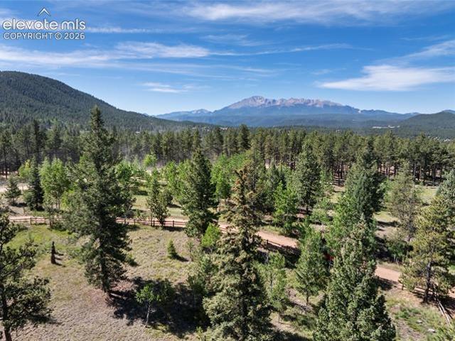 303 Ute Trail