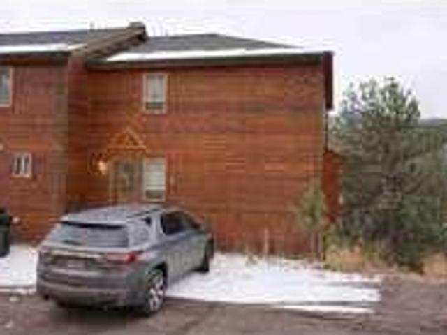 303 Virginia Rd #H, Bailey, CO 80421