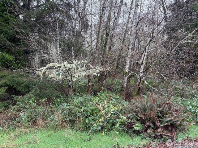 303 xx Stackpole Ln, Ocean Park, WA 98640 | MLS #2495 | Compass