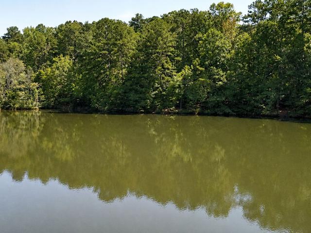 3044 Wallace Lake Road 30135