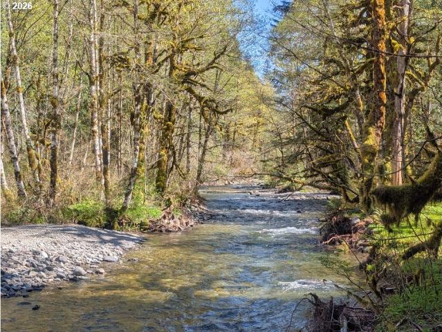 30460 E RD 12 Lot 133