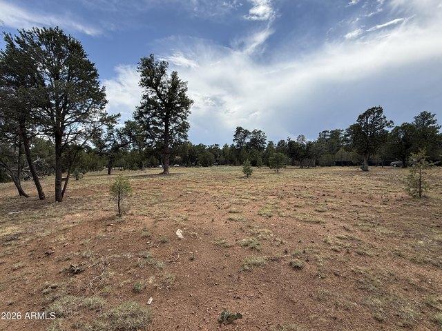 3048 Chevelon Rd Unit 147, Overgaard, AZ 85933
