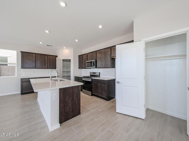 30491 w whitethorn acacia