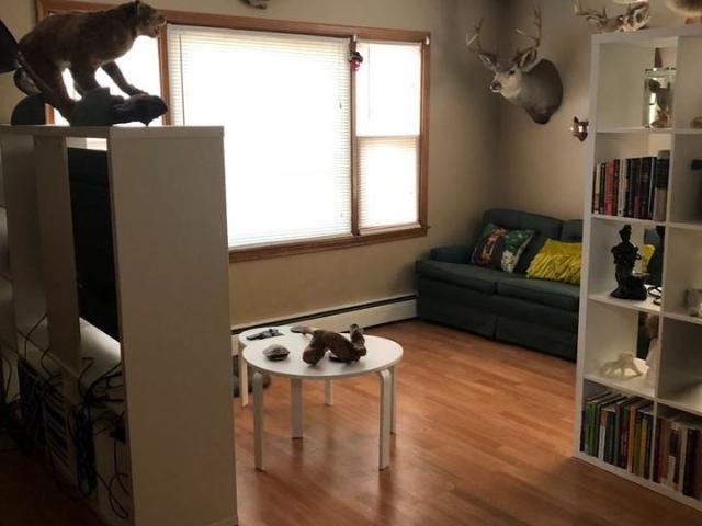 3049GRAND 3 Bedroom Apartment for Rent at 3049 Grand St Ne, Minneapolis, MN 55418 Marshall Terrace