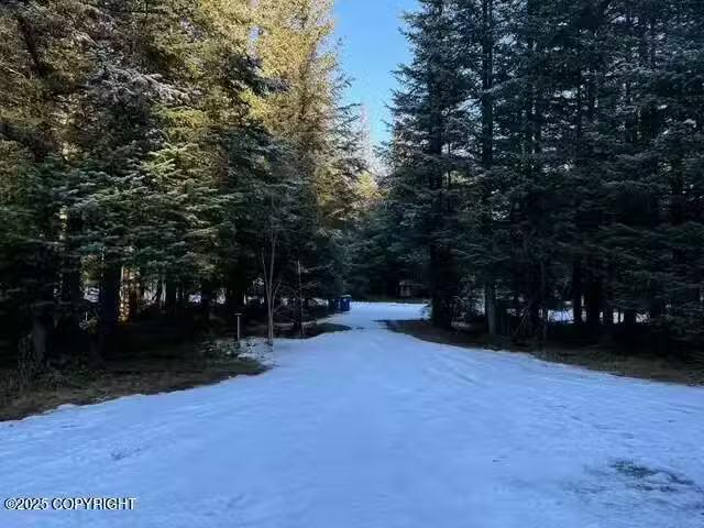 3042 MENDENHALL STREET, VALDEZ, AK 99686 Vacant Land For Sale.