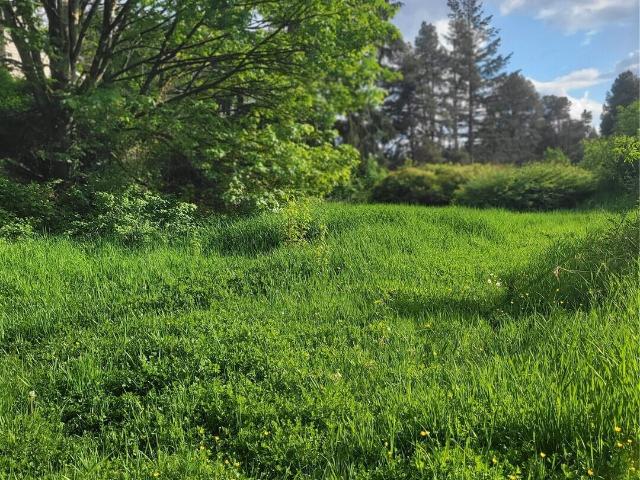 3043 th Ave S, Auburn, WA 98001 | MLS #2403