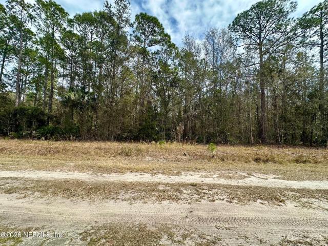 304 Lakeshore Dr, Georgetown, FL 32139 | MLS #2128 | Compass