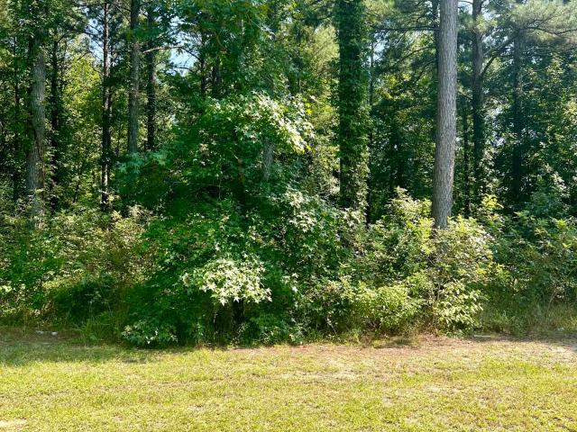 304 Plantation Circle # 31