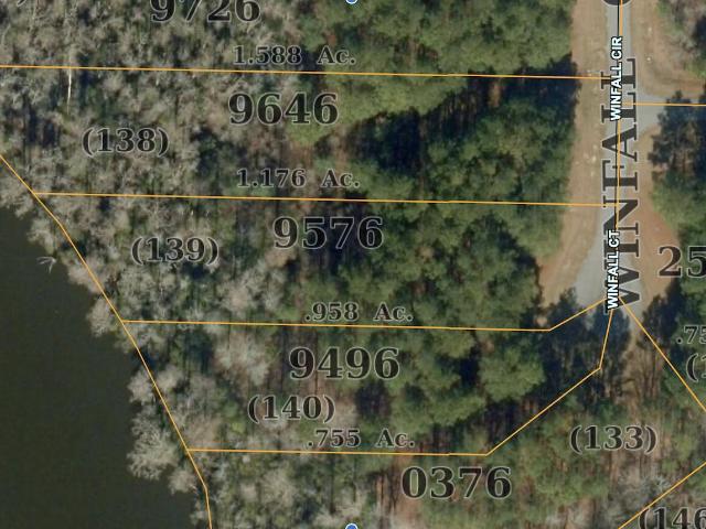 304 Winfall Court