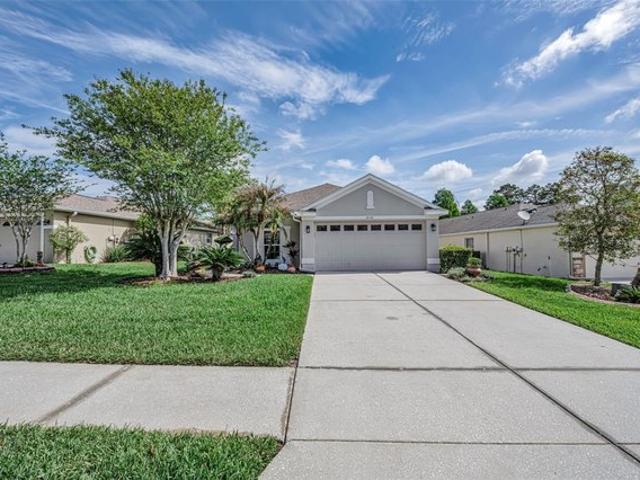 3054 Banyan Hill Ln, Land O Lakes, FL 34639