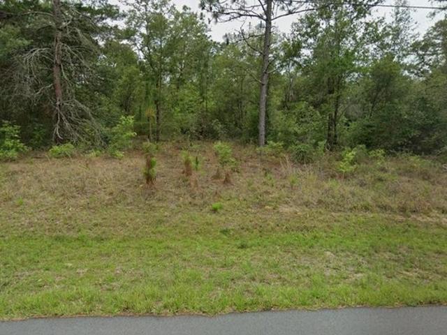3054 W Hamlet Pl, Citrus Springs, FL 34433