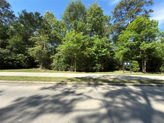 3057 Pampaneria Dr, Conroe, TX 77301 | MLS #36869