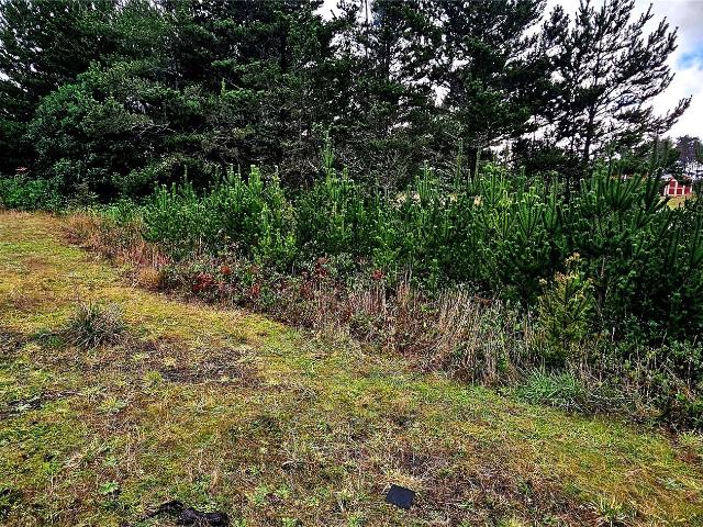 30514 K Pl, Ocean Park, WA 98640 | MLS #2465
